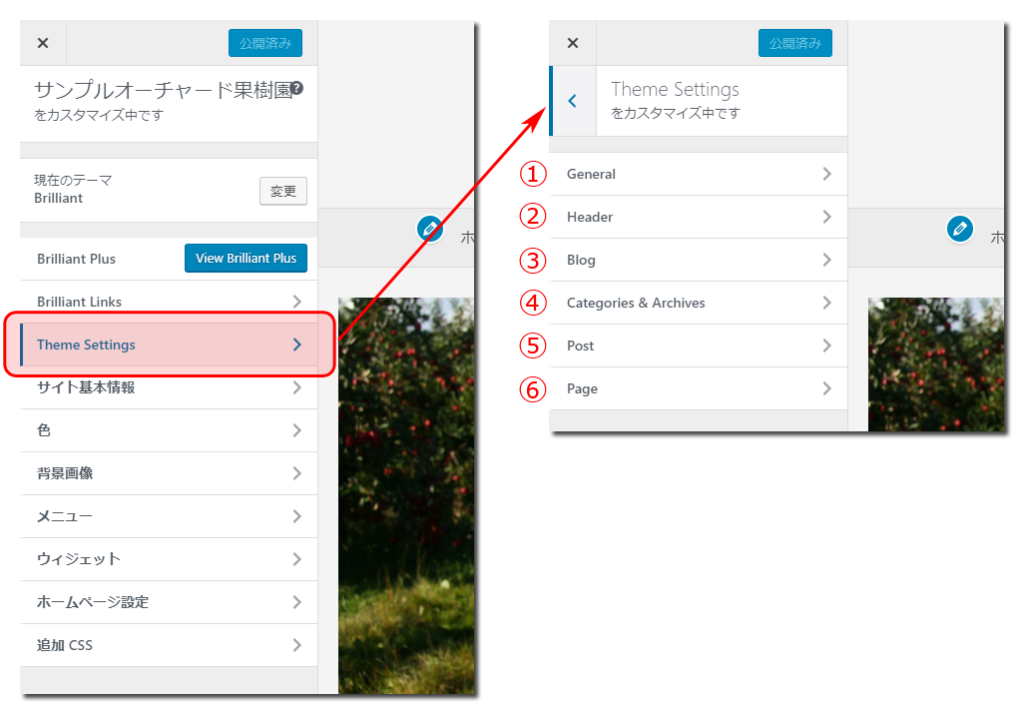 Brilliant | WordPress de EC
